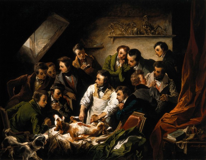 Vivisection in the 1800s and Today – Yale Global Health Review